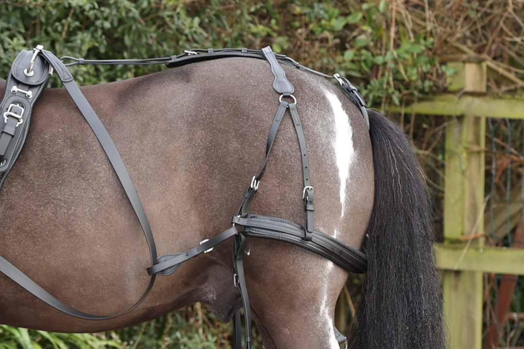 Seasans Lux Harness – seasanscarriages