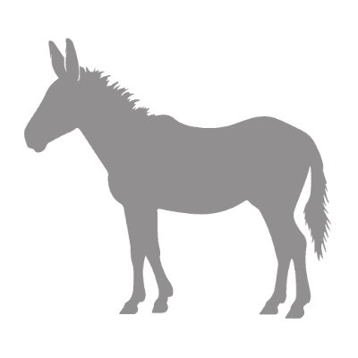 seasanscarriages – Seasans Carriages is the brand that is ...