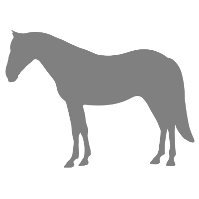 seasanscarriages – Seasans Carriages is the brand that is ...