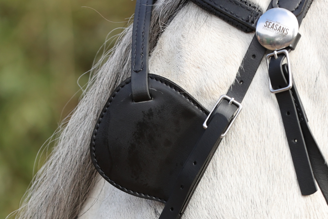 Harness collection – seasanscarriages