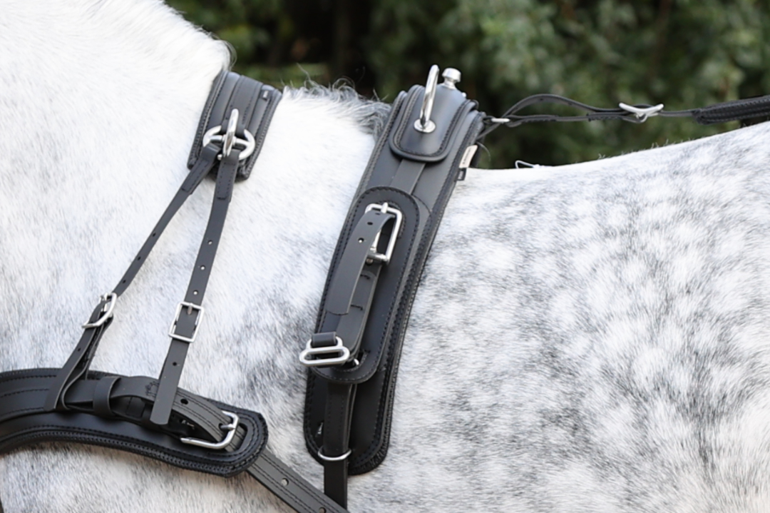 Harness collection – seasanscarriages