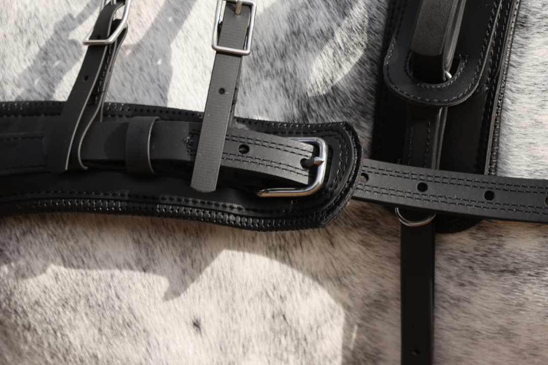 Harness collection – seasanscarriages