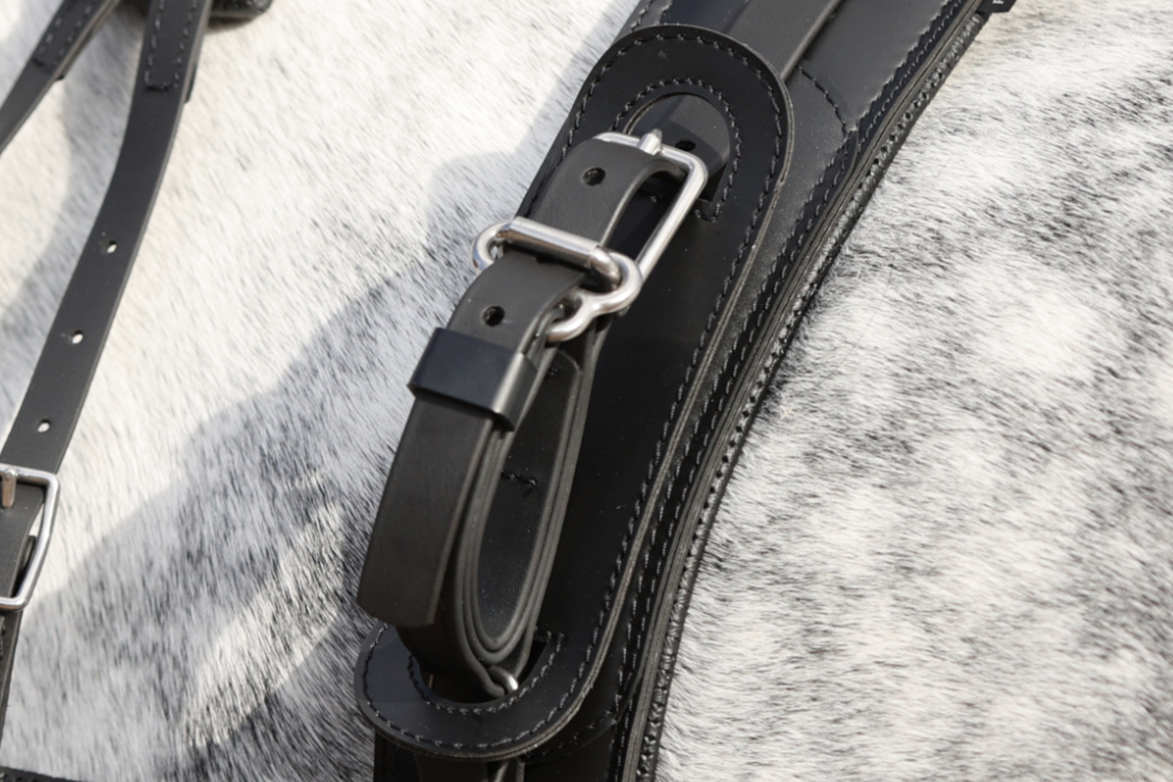 Harness collection – seasanscarriages